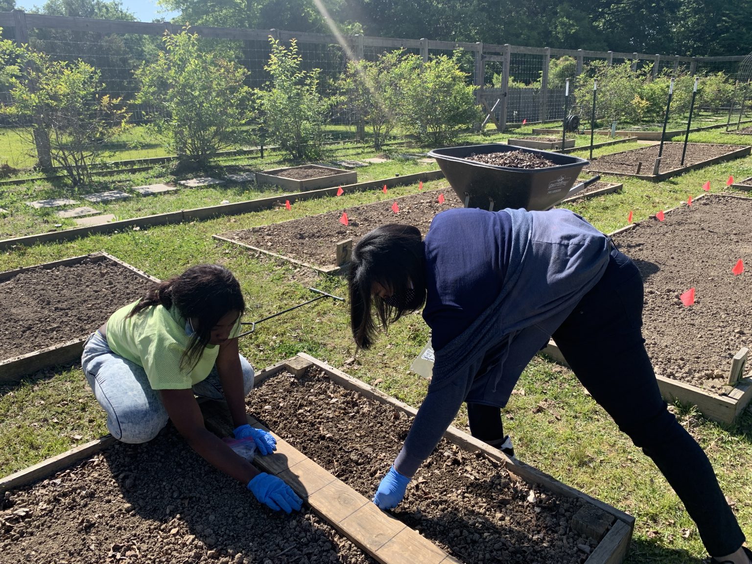 Teaching Garden 2021